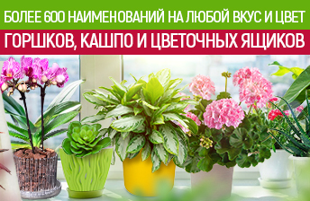 Купить семена почтой в интернет магазине. Каталог семян.