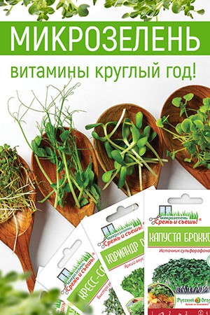 Купить семена почтой со скидкой 50% в интернет-магазине "Русский огород"