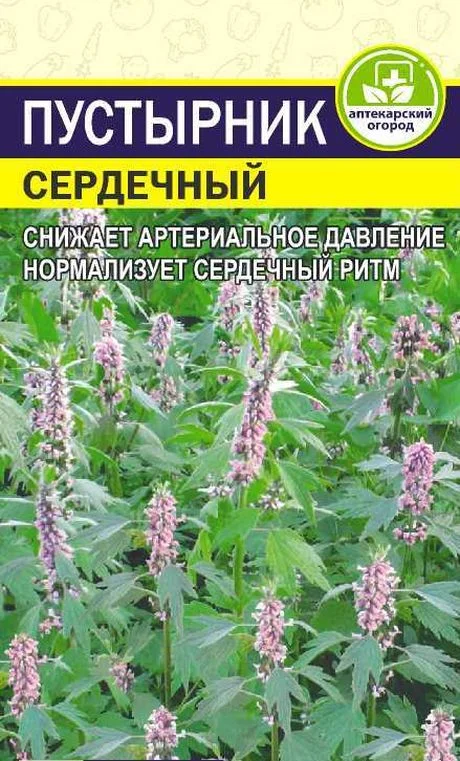 Семена Пустырник Сердечный: описание сорта, фото - купить с доставкой ...